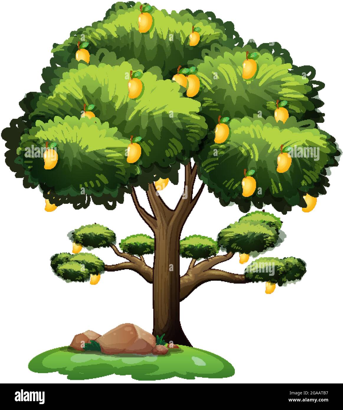 Yellow mango tree isolated on white background illustration Stock ...