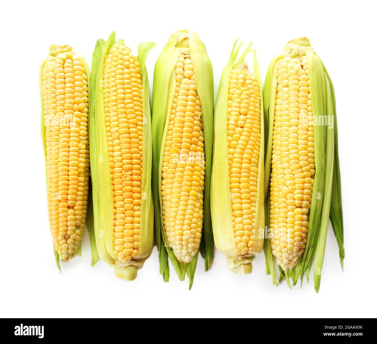 Fresh corn on cobs isolated on white Stock Photo - Alamy