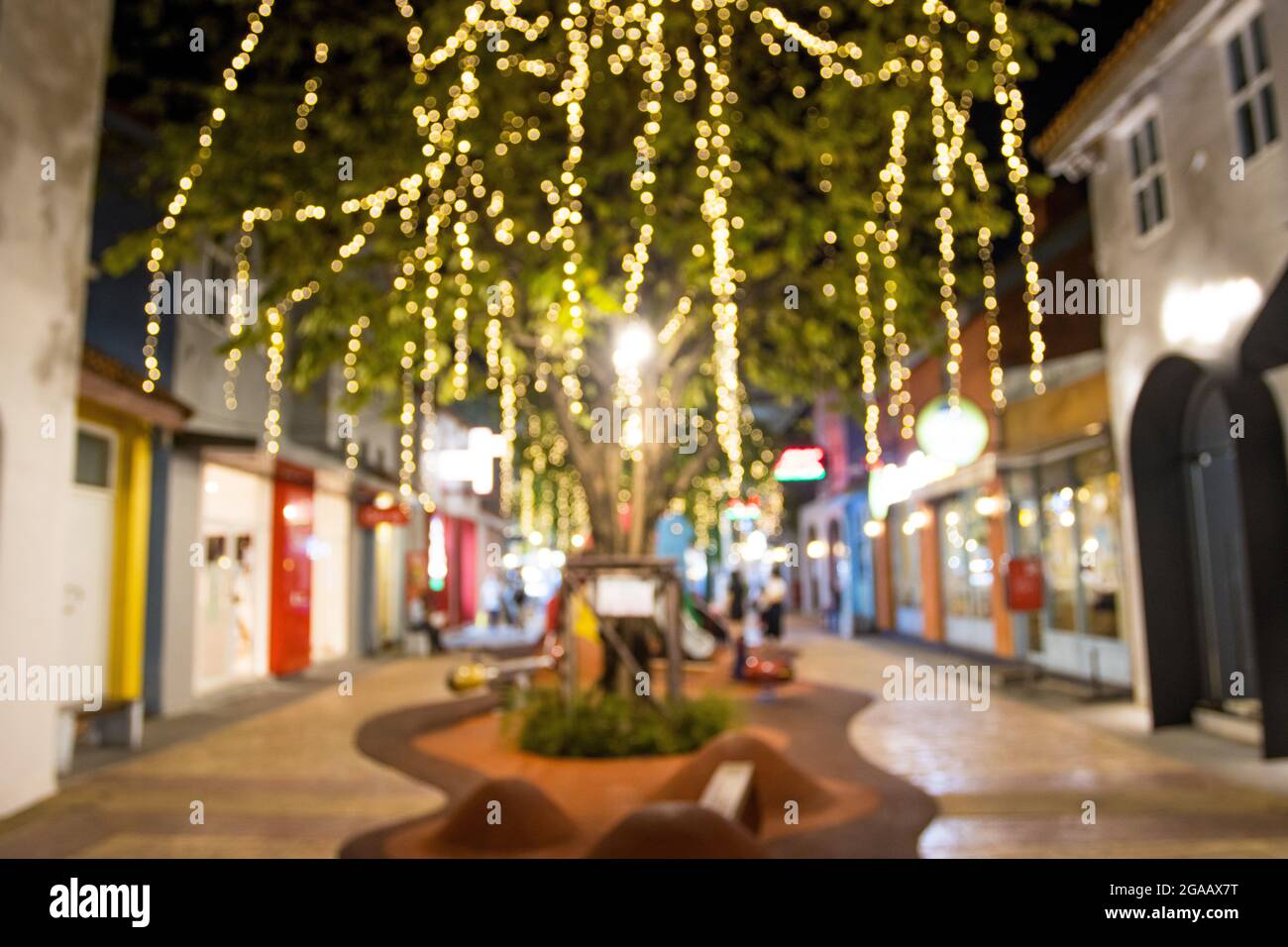 abstract blur image of night festival with a street walk and led light on tree bokeh for ...