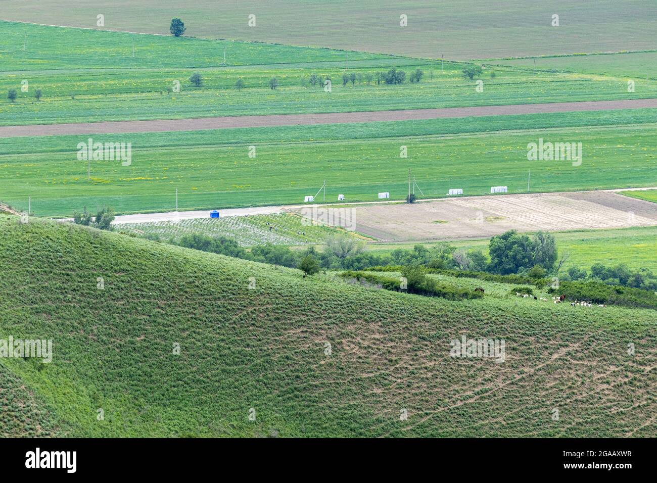 The ridge of a mountain hill in vegetation against the background of ...