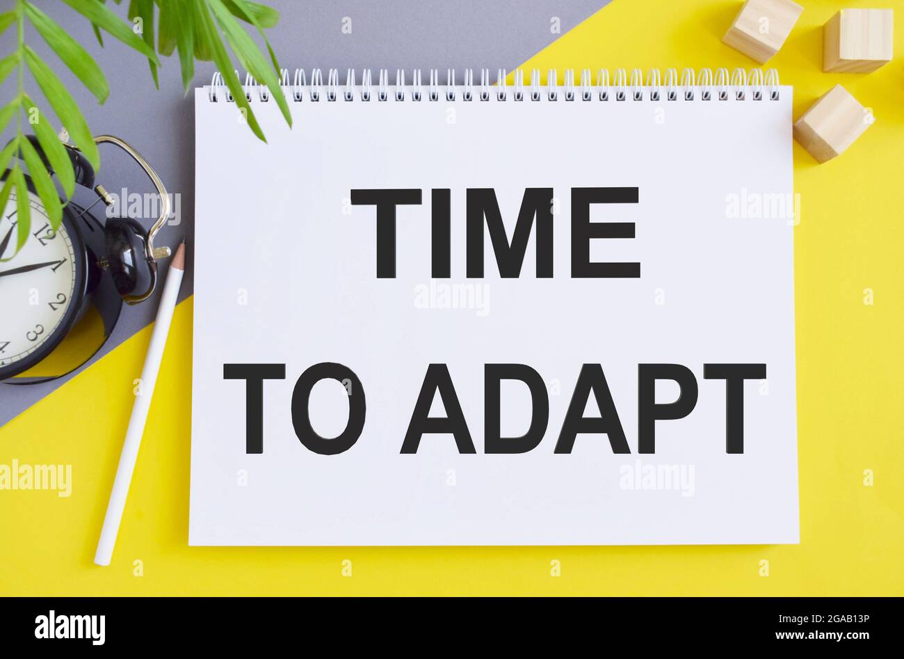 Time to Adapt word concept written in Notebook Stock Photo - Alamy