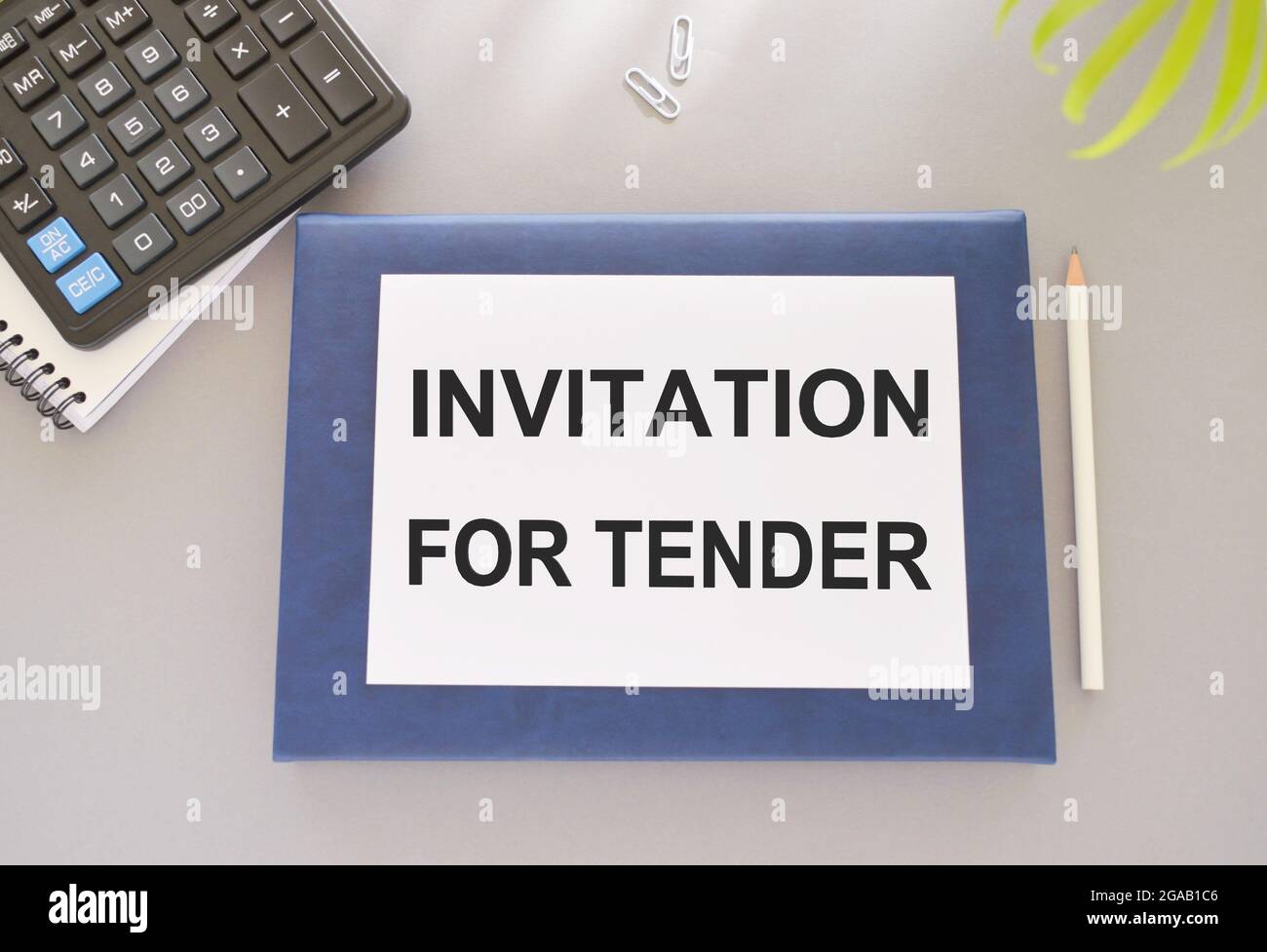 Card with text INVITATION FOR TENDER, business concept image with soft ...