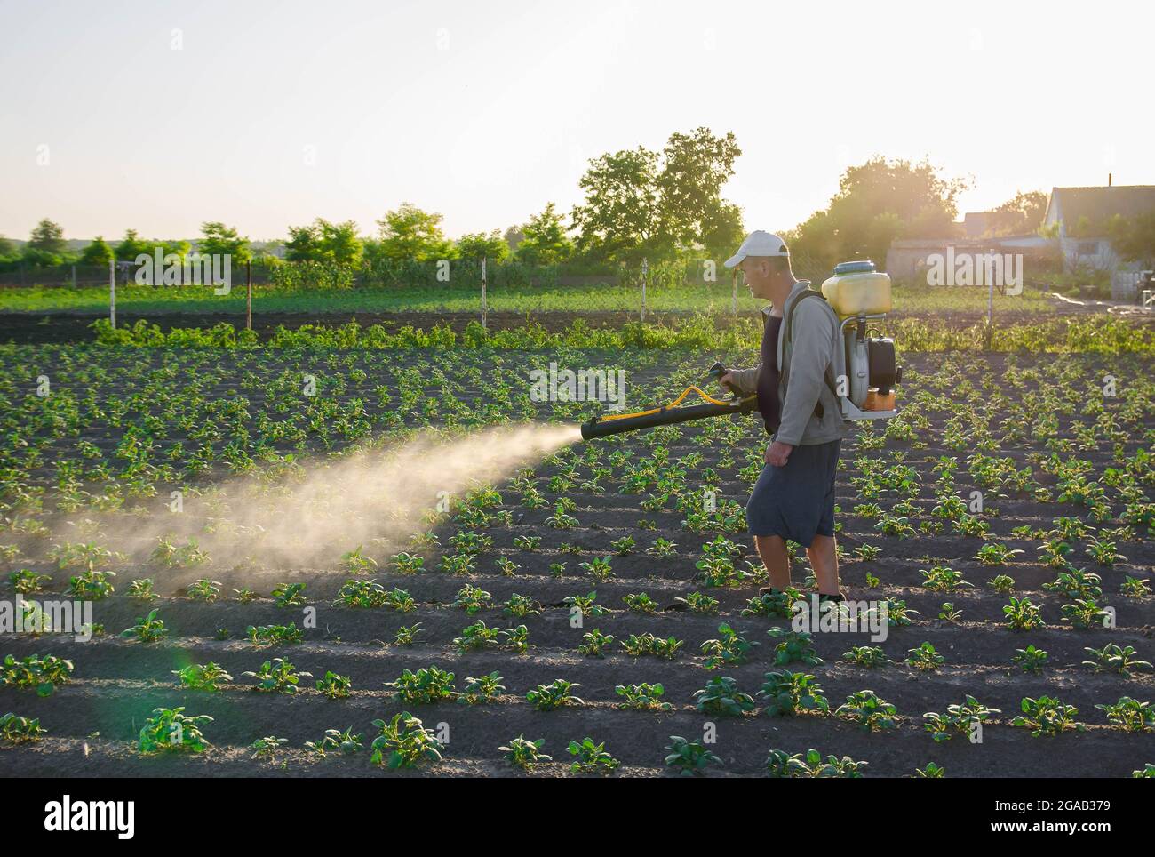 A farmer with a mist fogger sprayer sprays fungicide and pesticide on ...