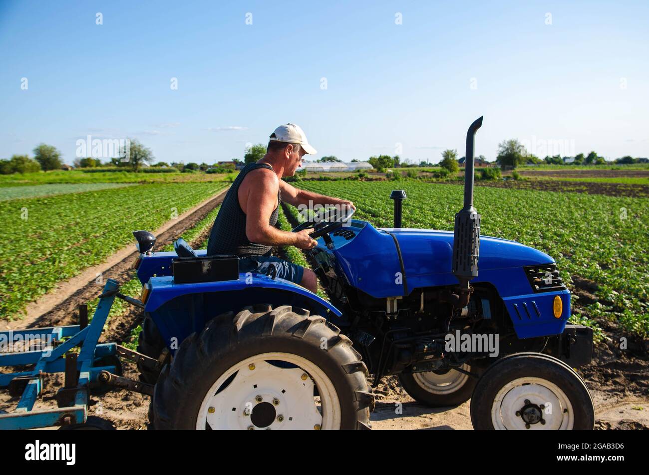 The farmer drives a tractor on the farm. Agroindustry and agribusiness ...