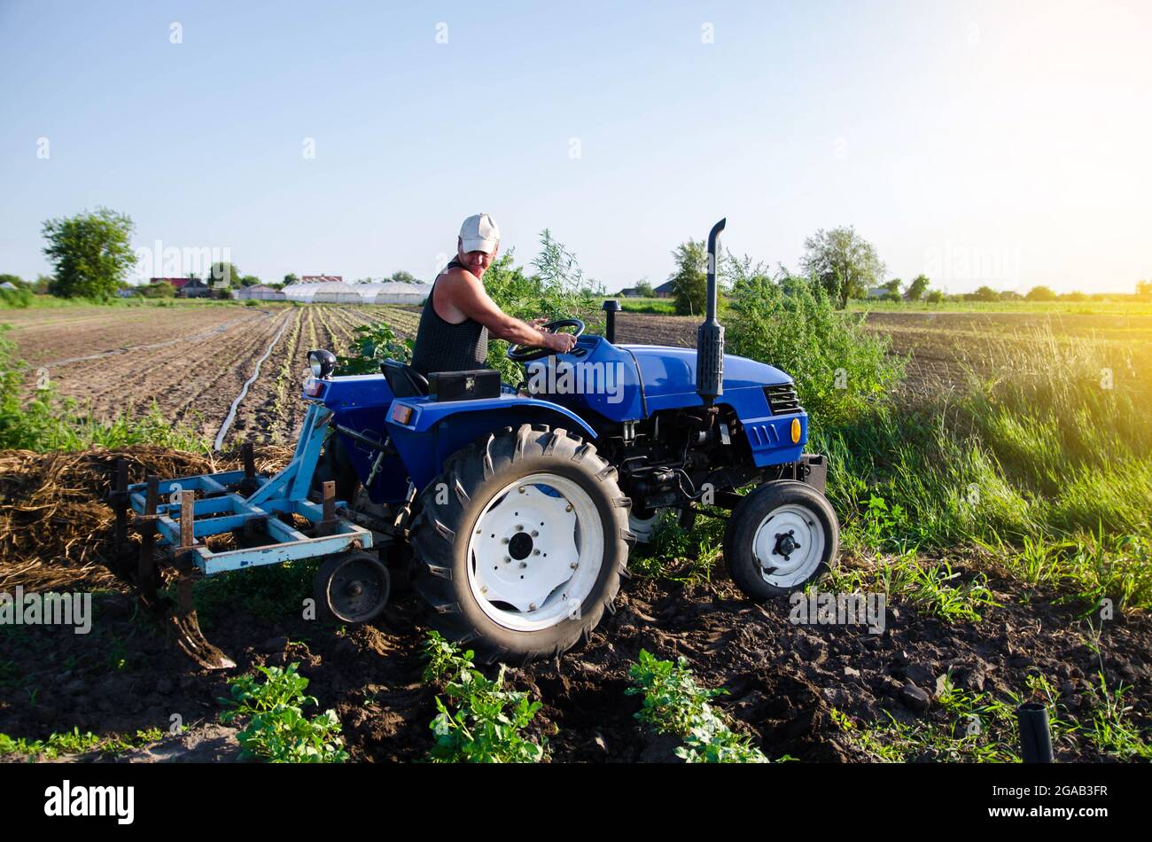 The farmer works in the field with a tractor. Agroindustry and ...