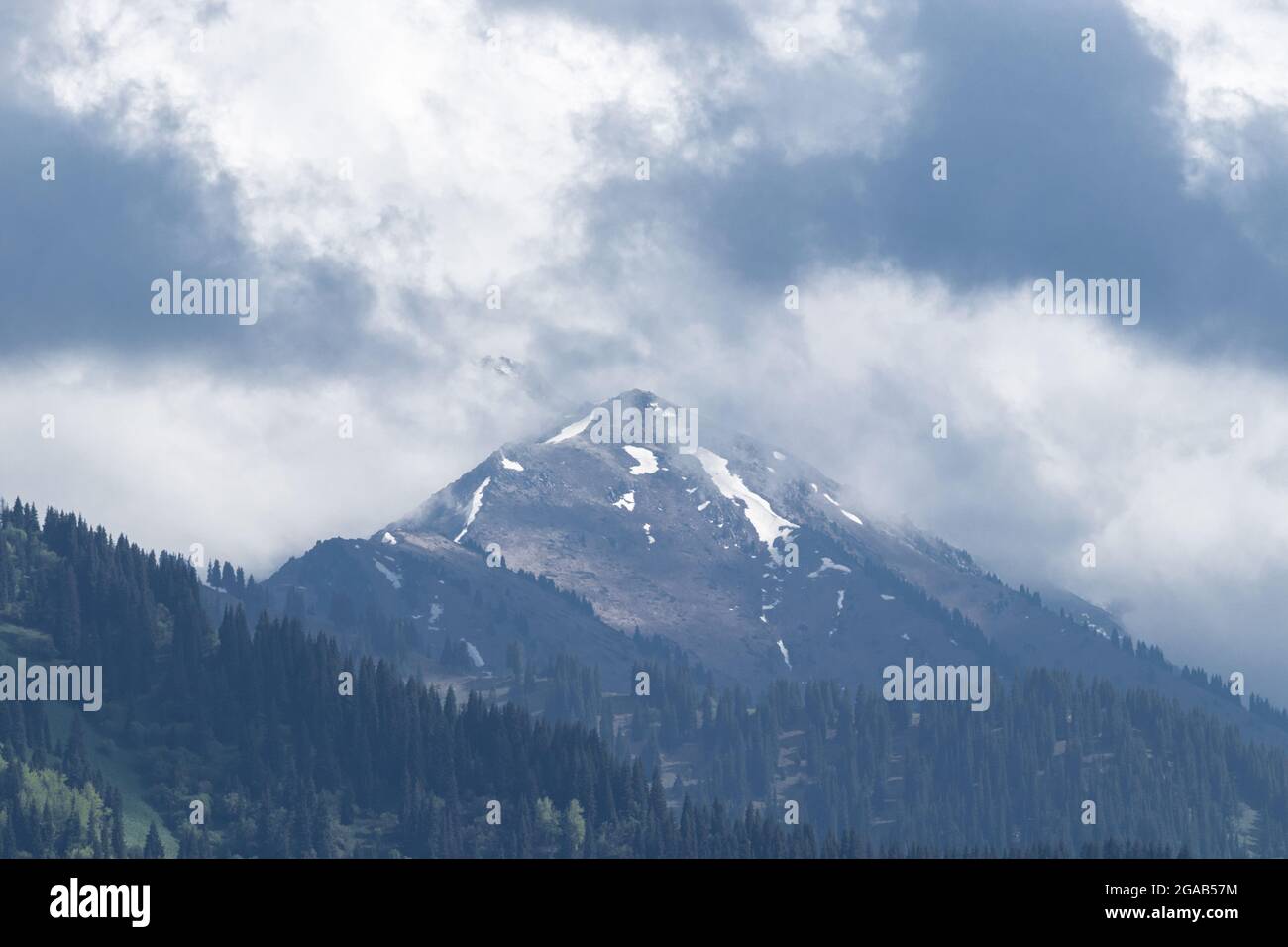 Mountain peak in the form of a triangle in cloudy weather. Coniferous ...