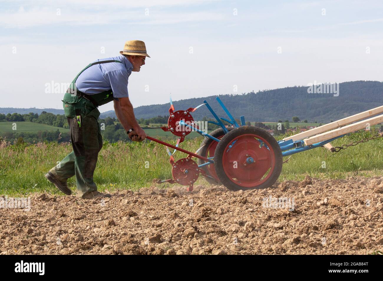 Horse as draught horse when working in agriculture Stock Photo - Alamy