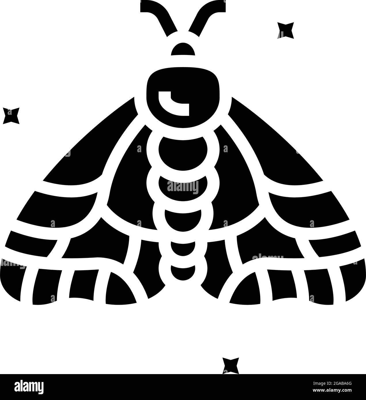 insect boho glyph icon vector illustration Stock Vector Image & Art - Alamy