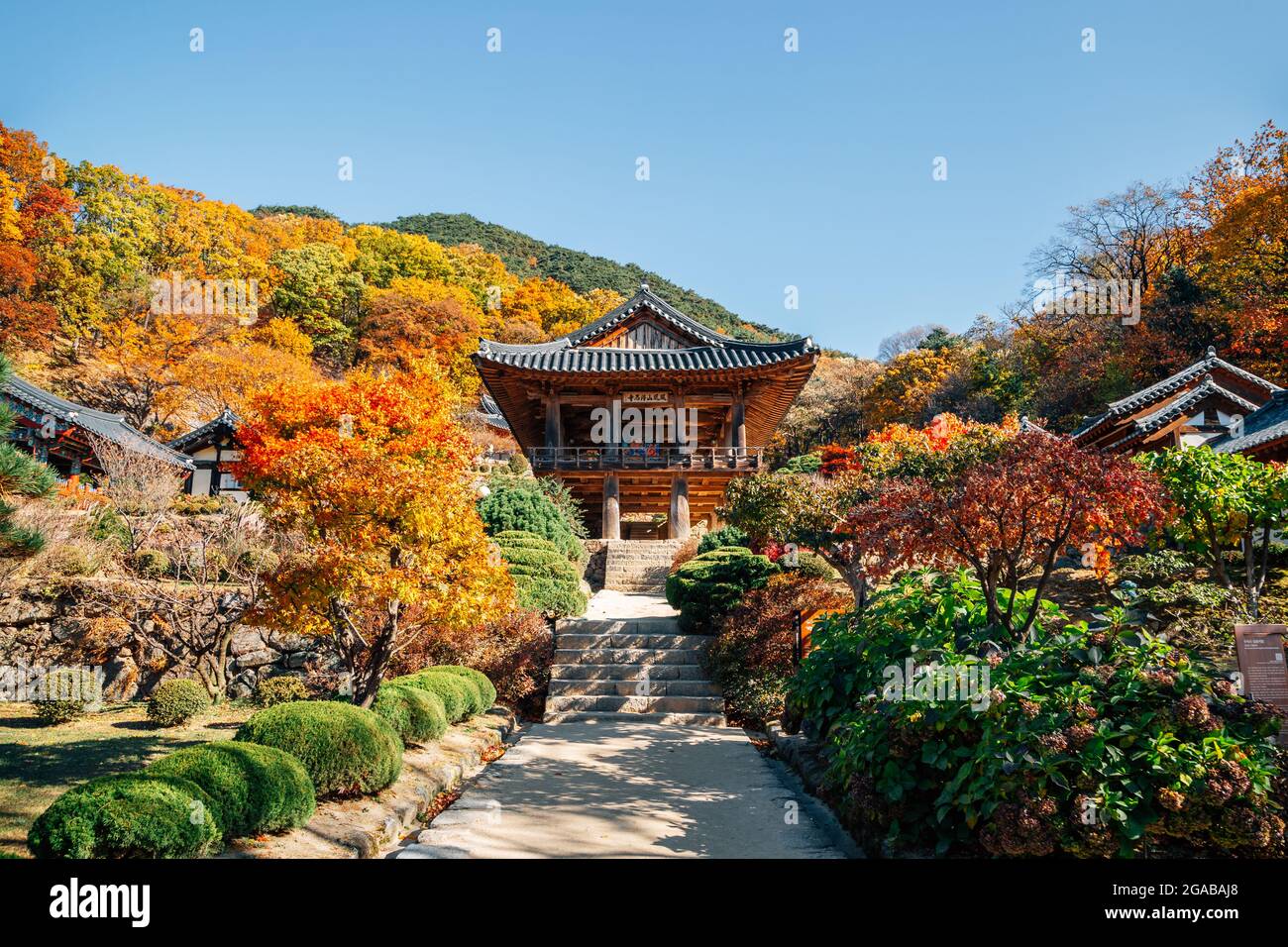 Autumn of Buseoksa Temple in Yeongju, Korea Stock Photo - Alamy