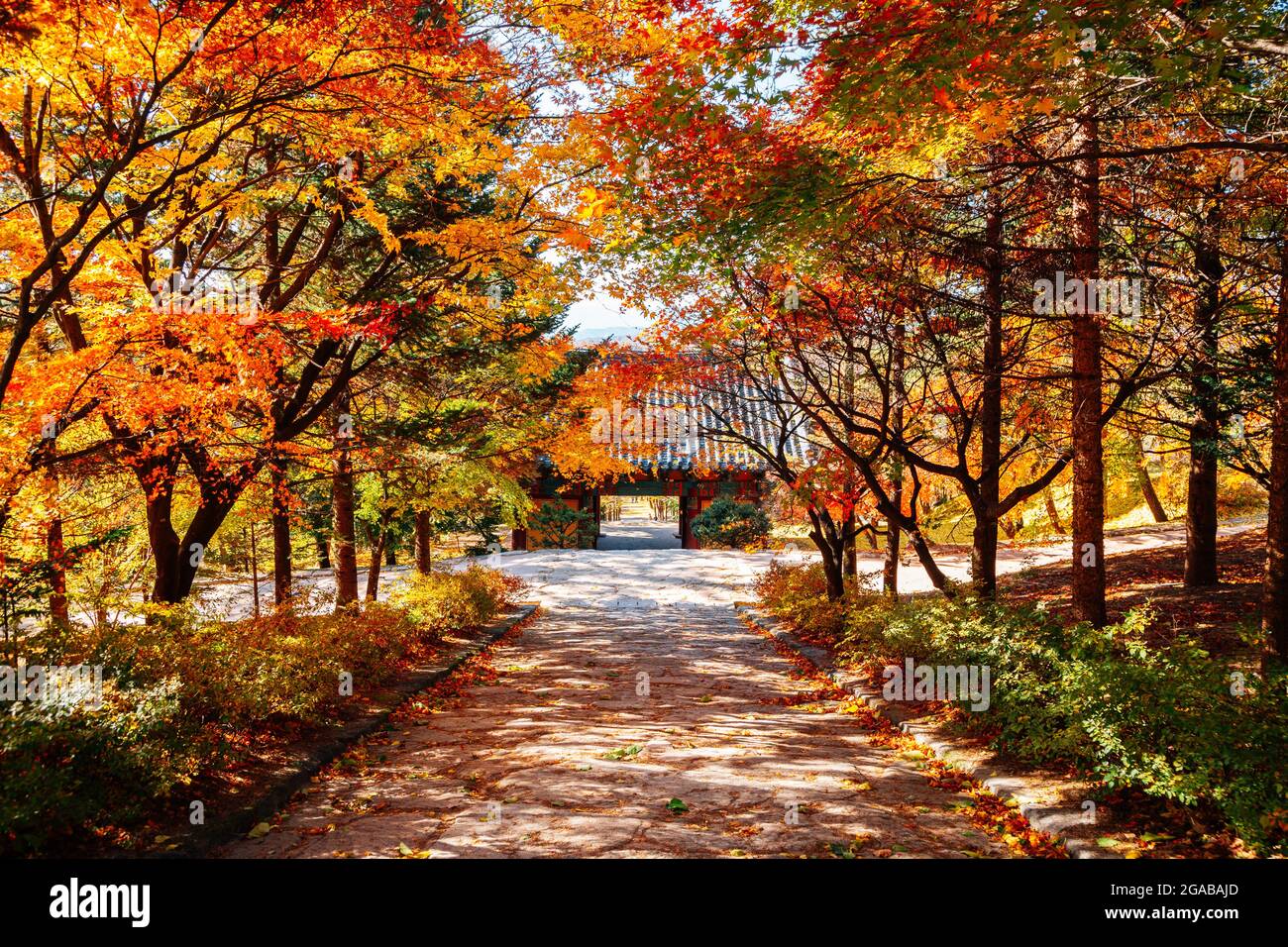 Buseoksa temple hi-res stock photography and images - Alamy