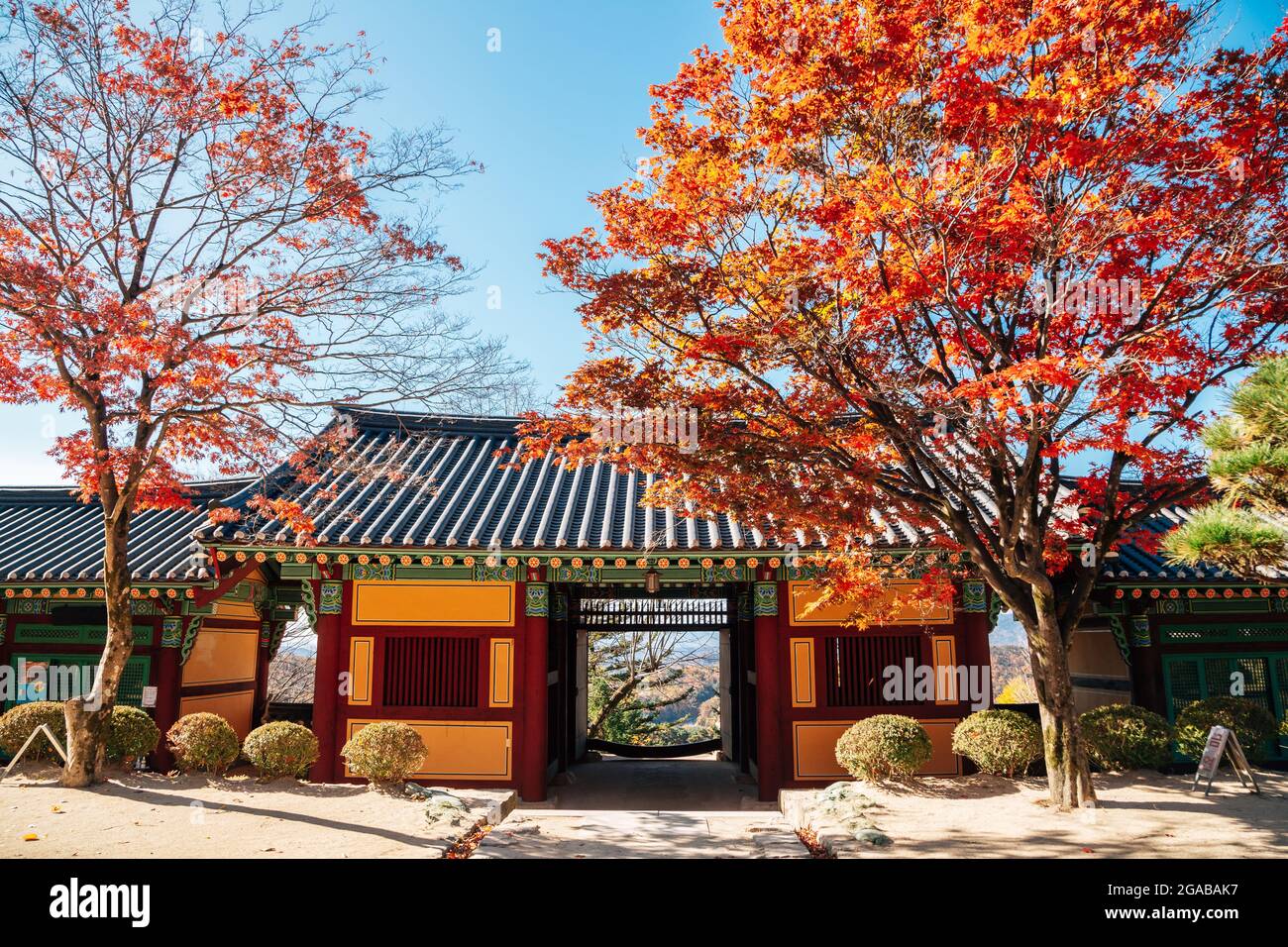 Autumn of Buseoksa Temple in Yeongju, Korea Stock Photo - Alamy