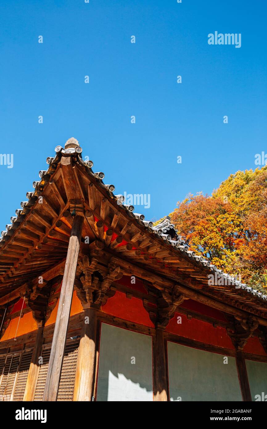 Autumn of Buseoksa Temple in Yeongju, Korea Stock Photo - Alamy