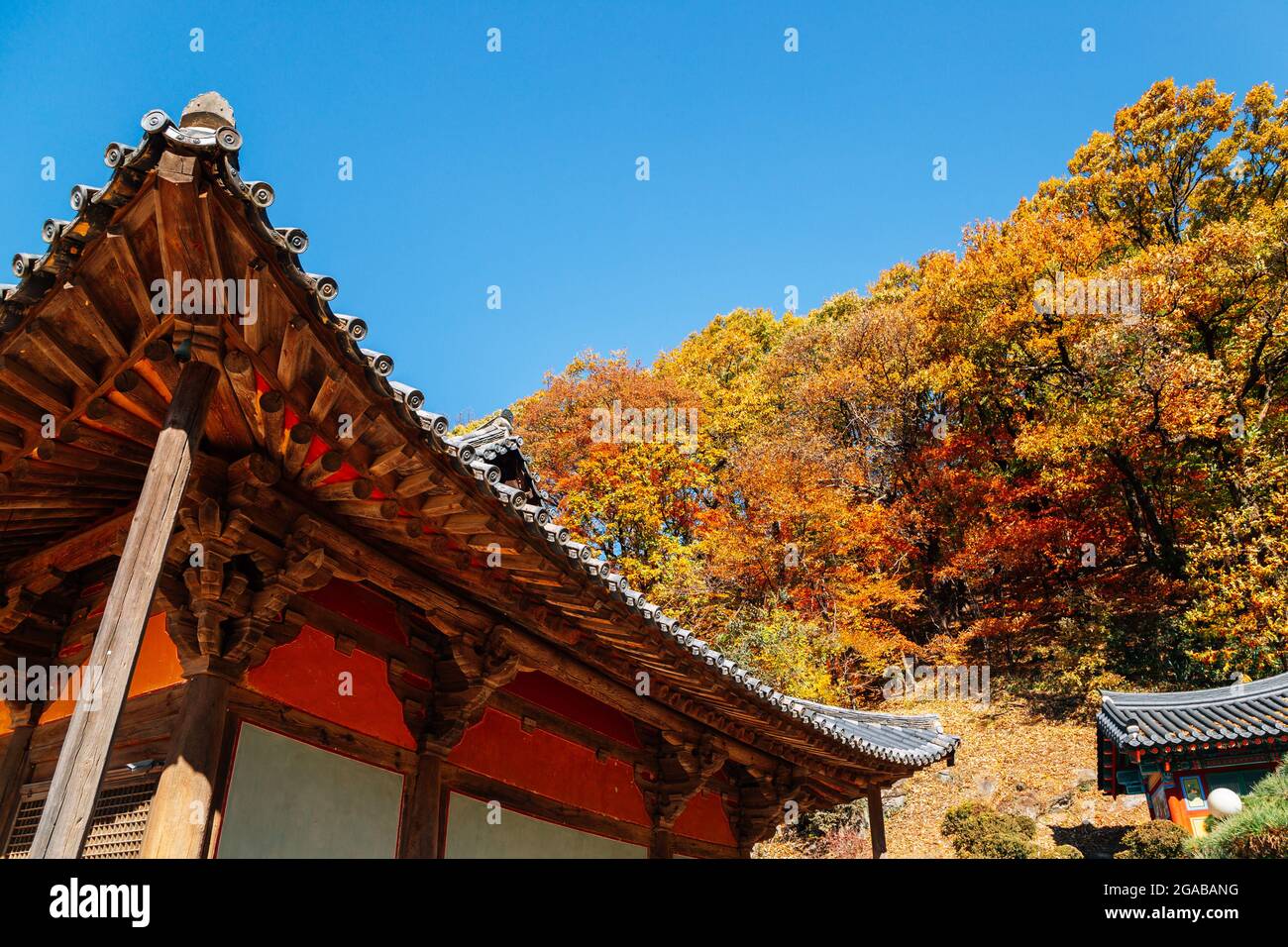 Autumn of Buseoksa Temple in Yeongju, Korea Stock Photo - Alamy
