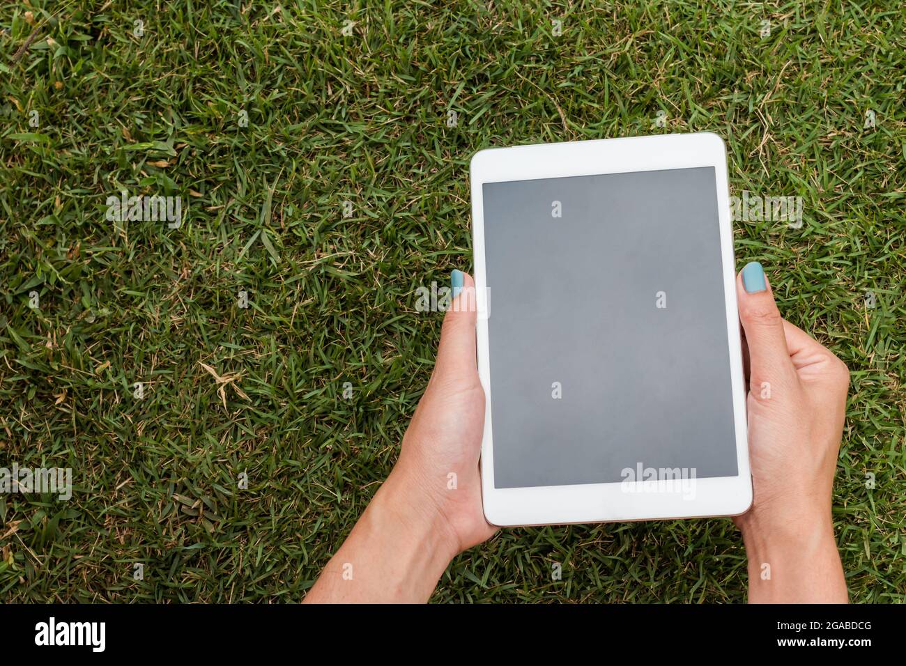 Book computer screen checking hi-res stock photography and images - Alamy