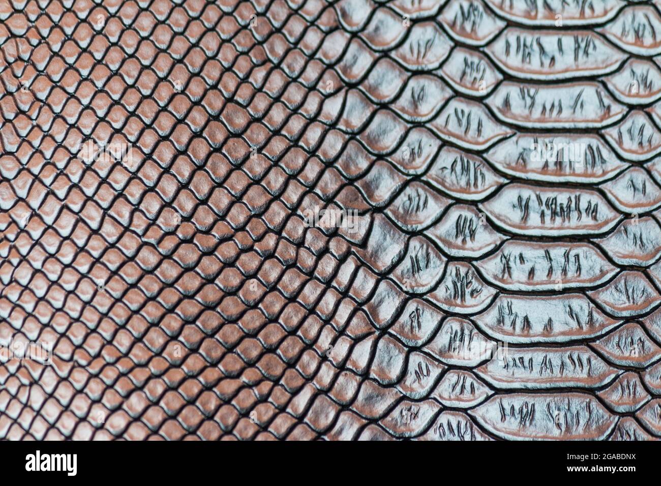 Snake human dark skin hi-res stock photography and images - Alamy