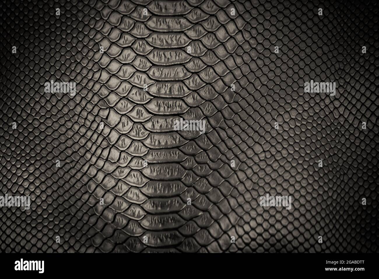 black snakeskin pattern texture background Stock Photo - Alamy