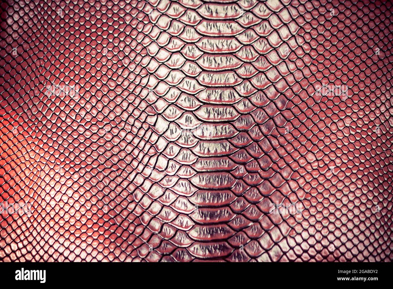 Snake human dark skin hi-res stock photography and images - Alamy