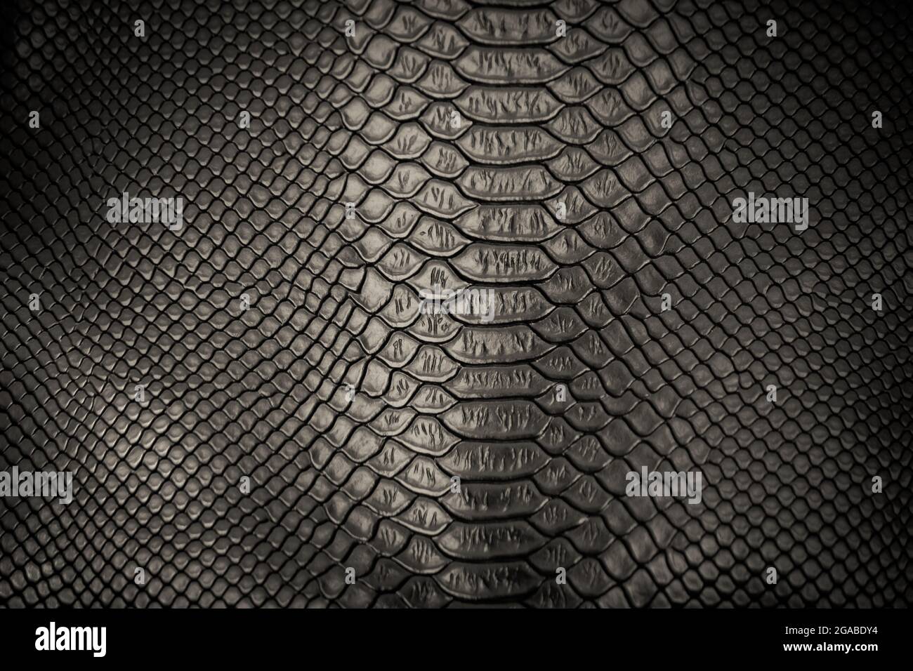 black snakeskin pattern texture background Stock Photo - Alamy