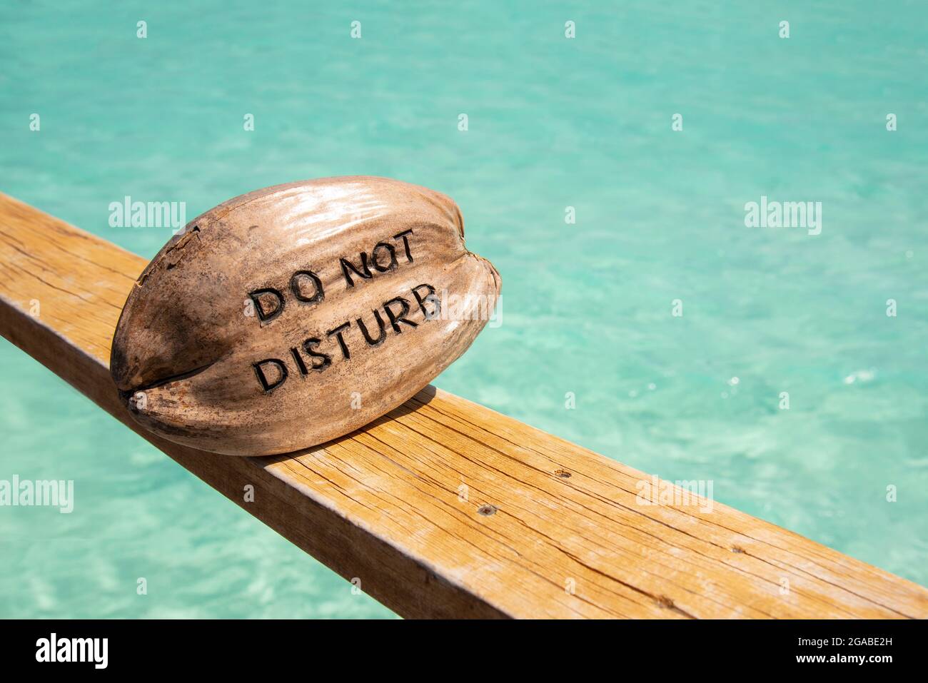 Coconut with do not disturb words letter engraved of ocean color beach ...