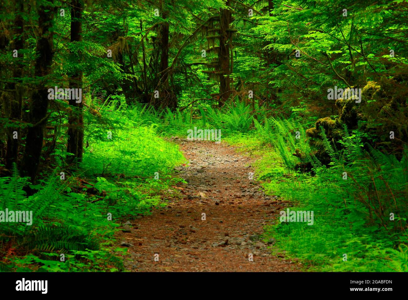 Pacific northwest landscapes hi-res stock photography and images - Alamy