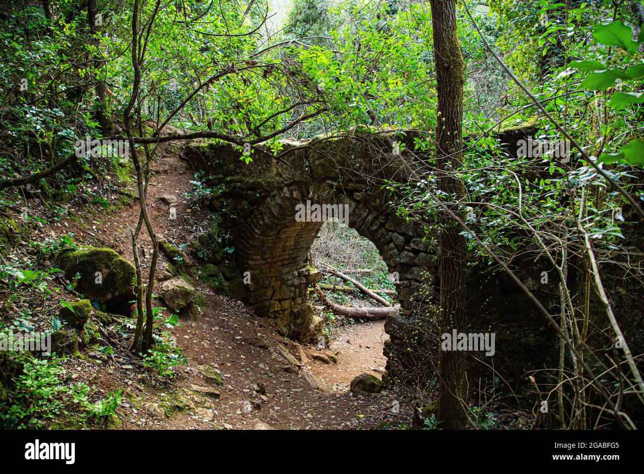 Stone ruins in the forest invaded by vegetation Stock Photo - Alamy