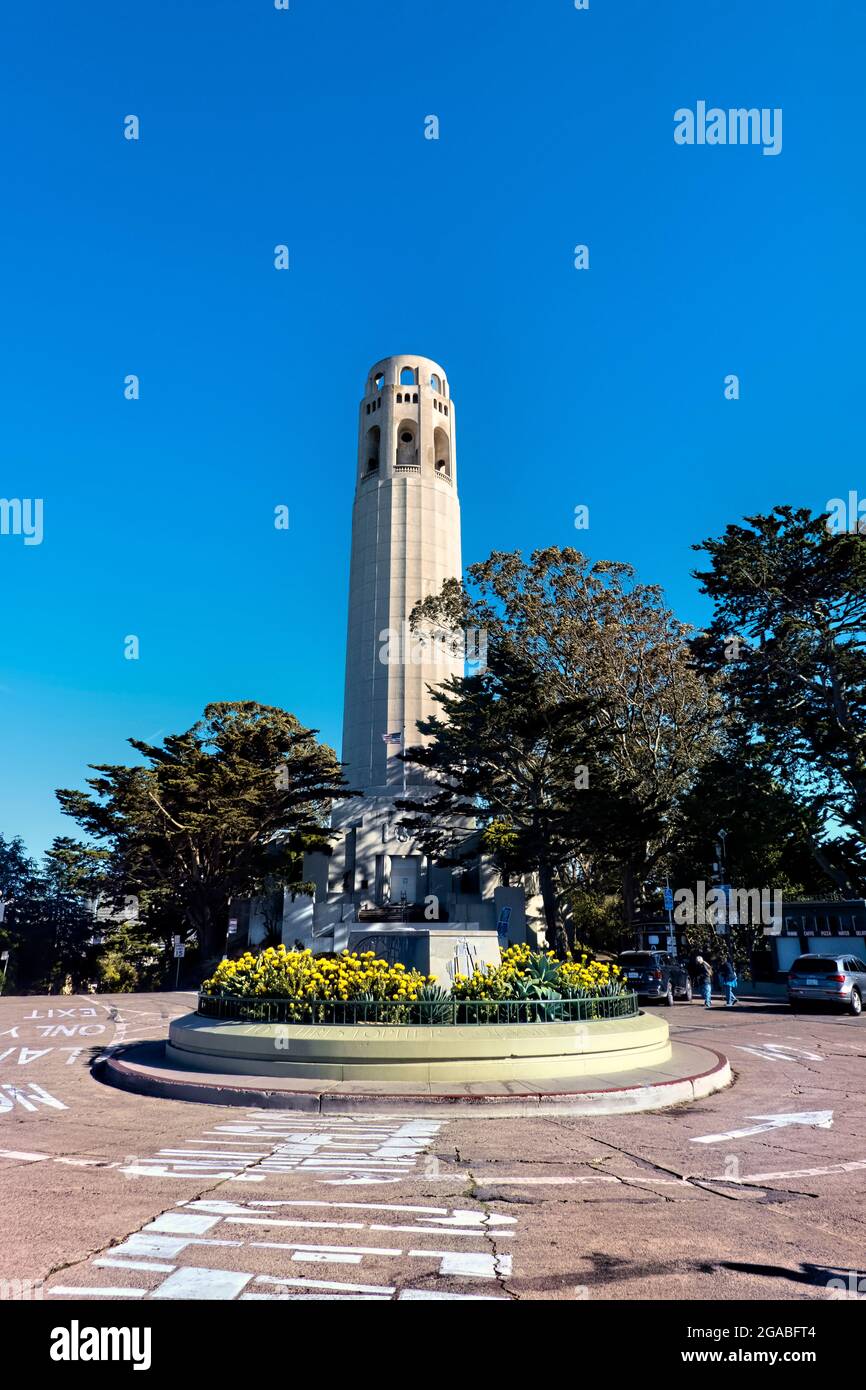 Coit Tower Vector