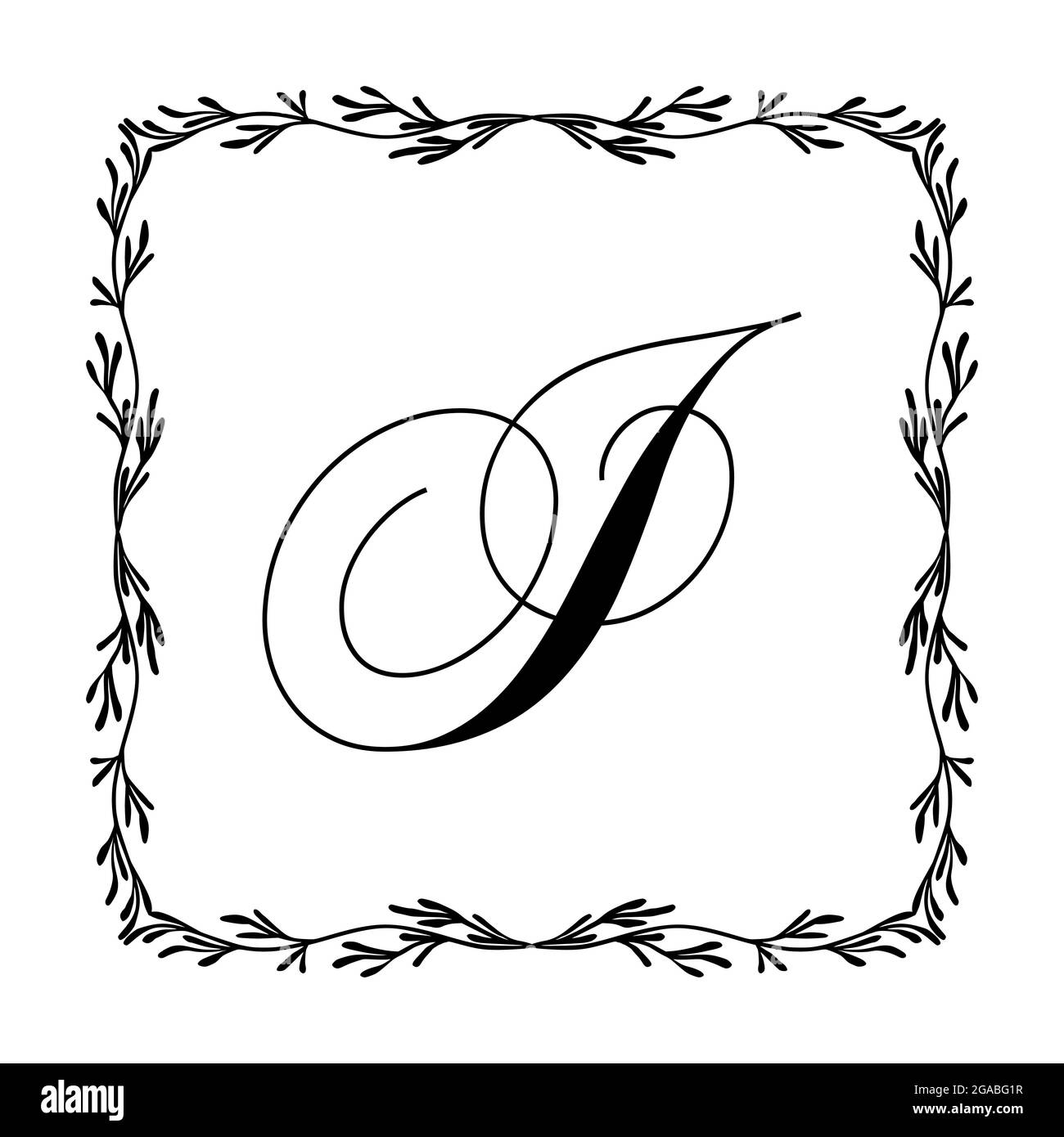 Beautiful Vintage Monogram Frame. Vector Ornate Calligraphic Design ...