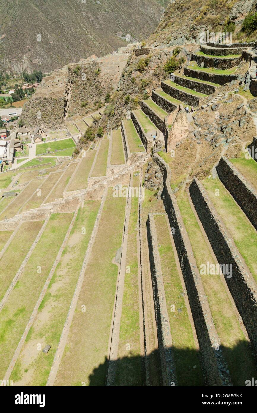Inca's agricultural terraces in Ollantaytambo, Peru Stock Photo - Alamy