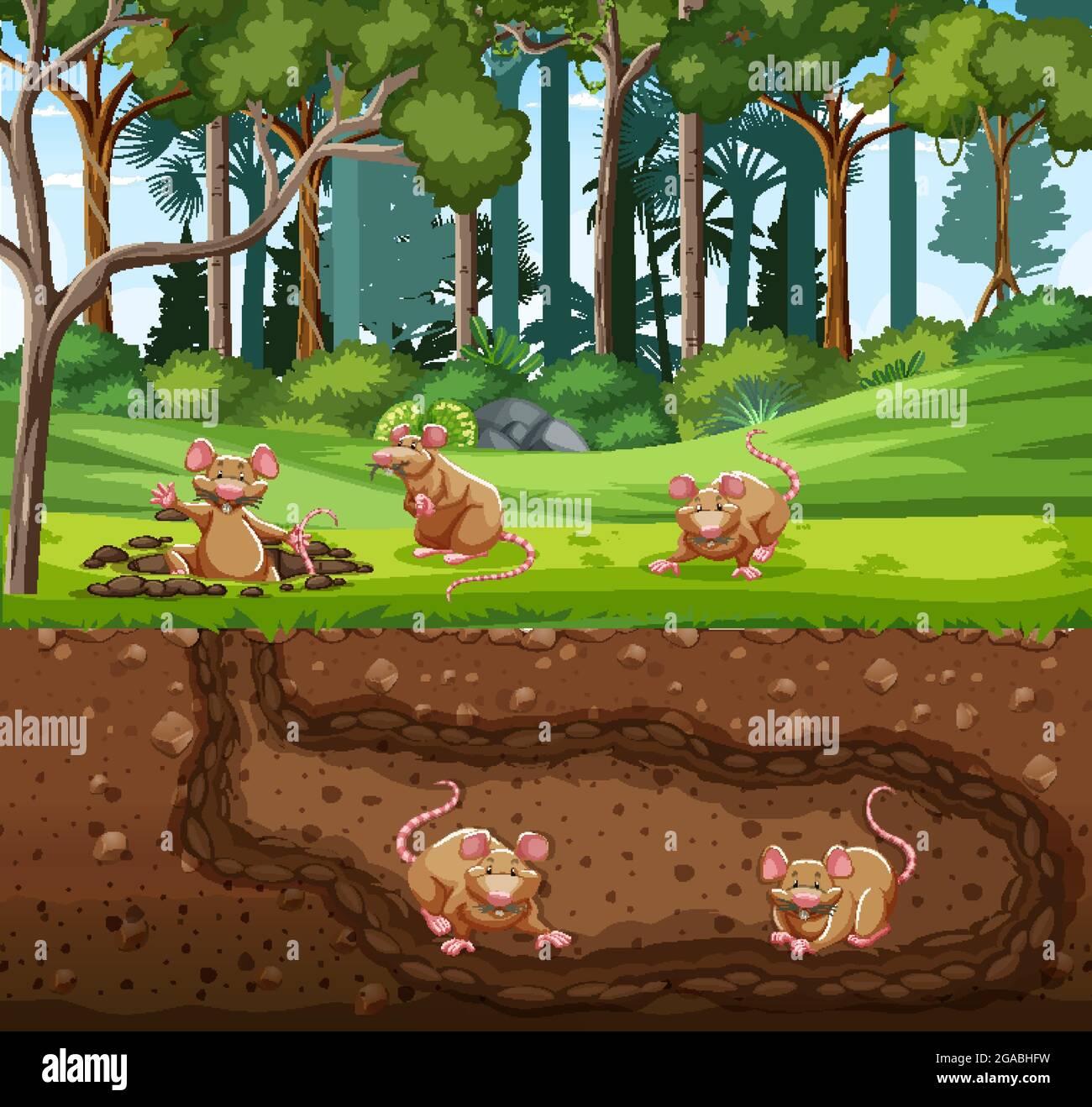 Underground animal burrow with rat family illustration Stock Vector ...