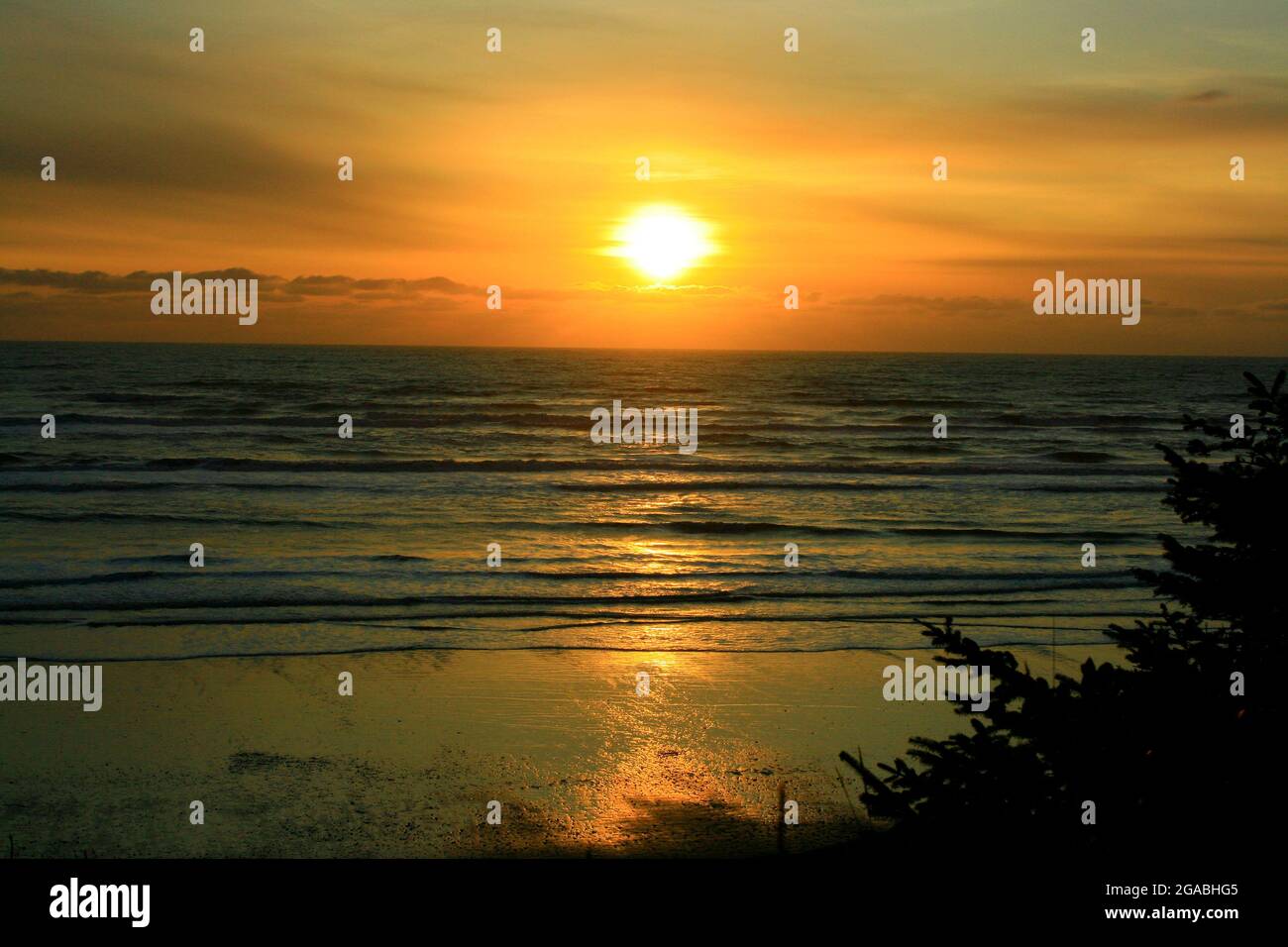 a exterior picture of an Pacific Northwest beach Stock Photo - Alamy