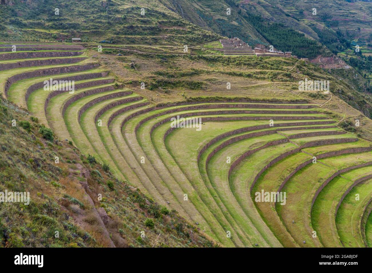 Inca agricultural terraces in Pisac, Sacred Valley, Peru Stock Photo ...