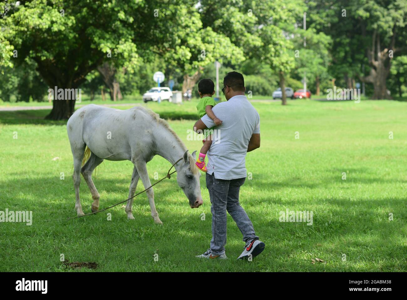 KOLKATA, INDIA - Jun 24, 2021: Ranger Riding Horse is seen by man and ...