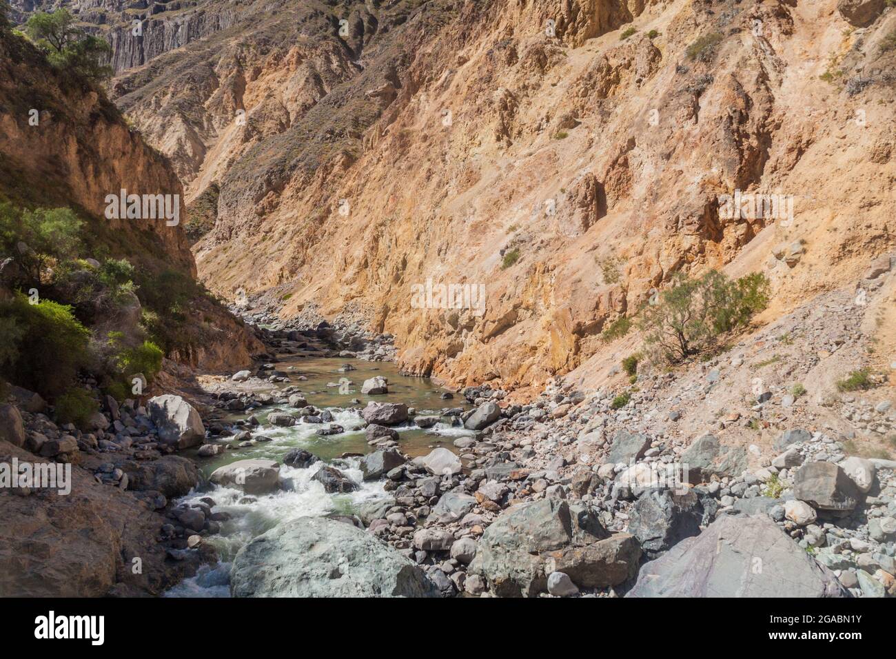 River in Colca canyon, Peru Stock Photo - Alamy