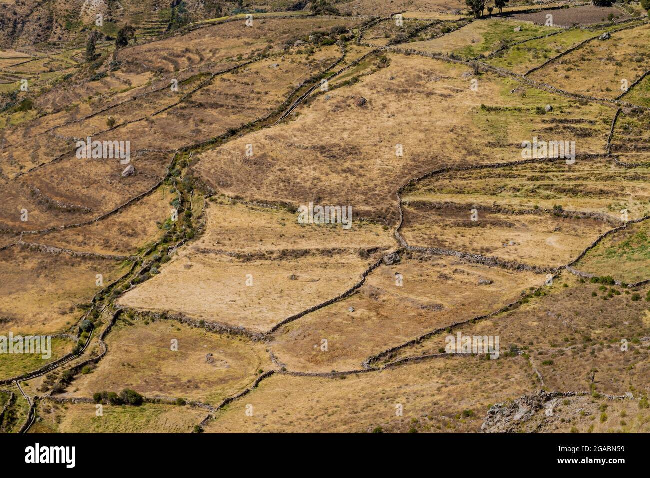 Agricultural terraces in Colca canyon, Peru Stock Photo - Alamy