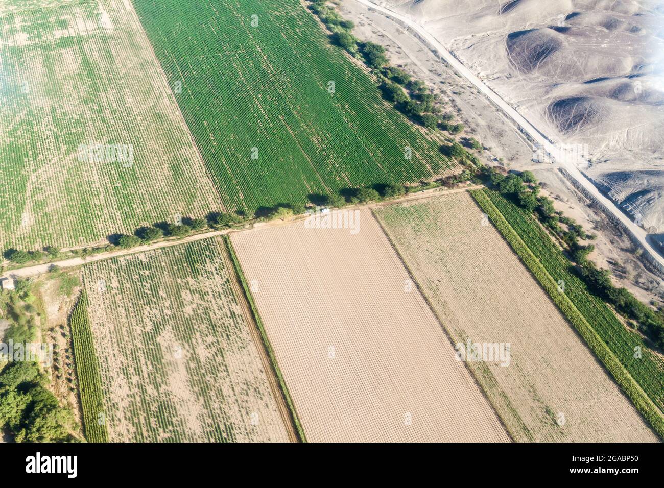 Nazca plain hi-res stock photography and images - Alamy
