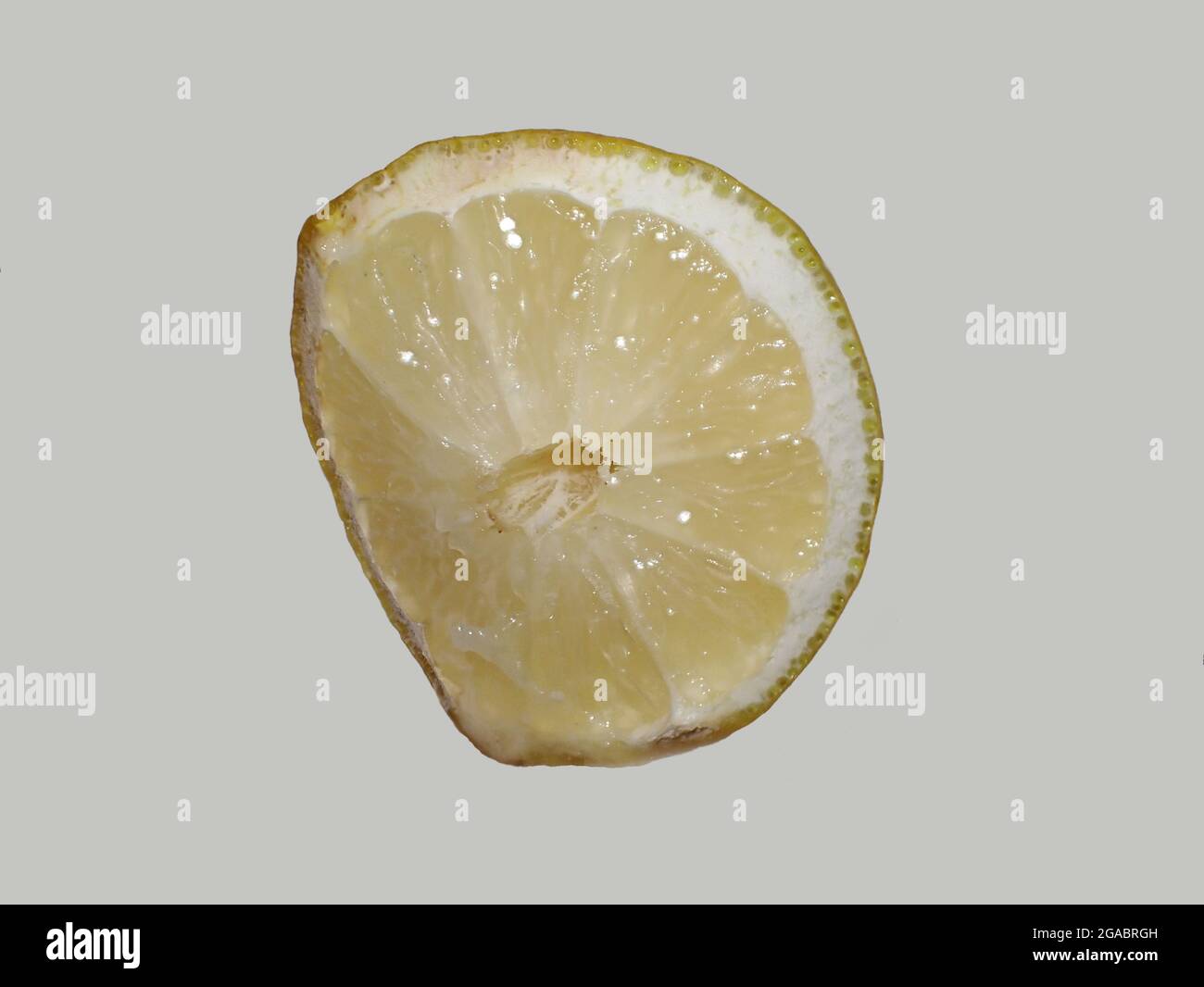 Lemon beetle hi-res stock photography and images - Alamy