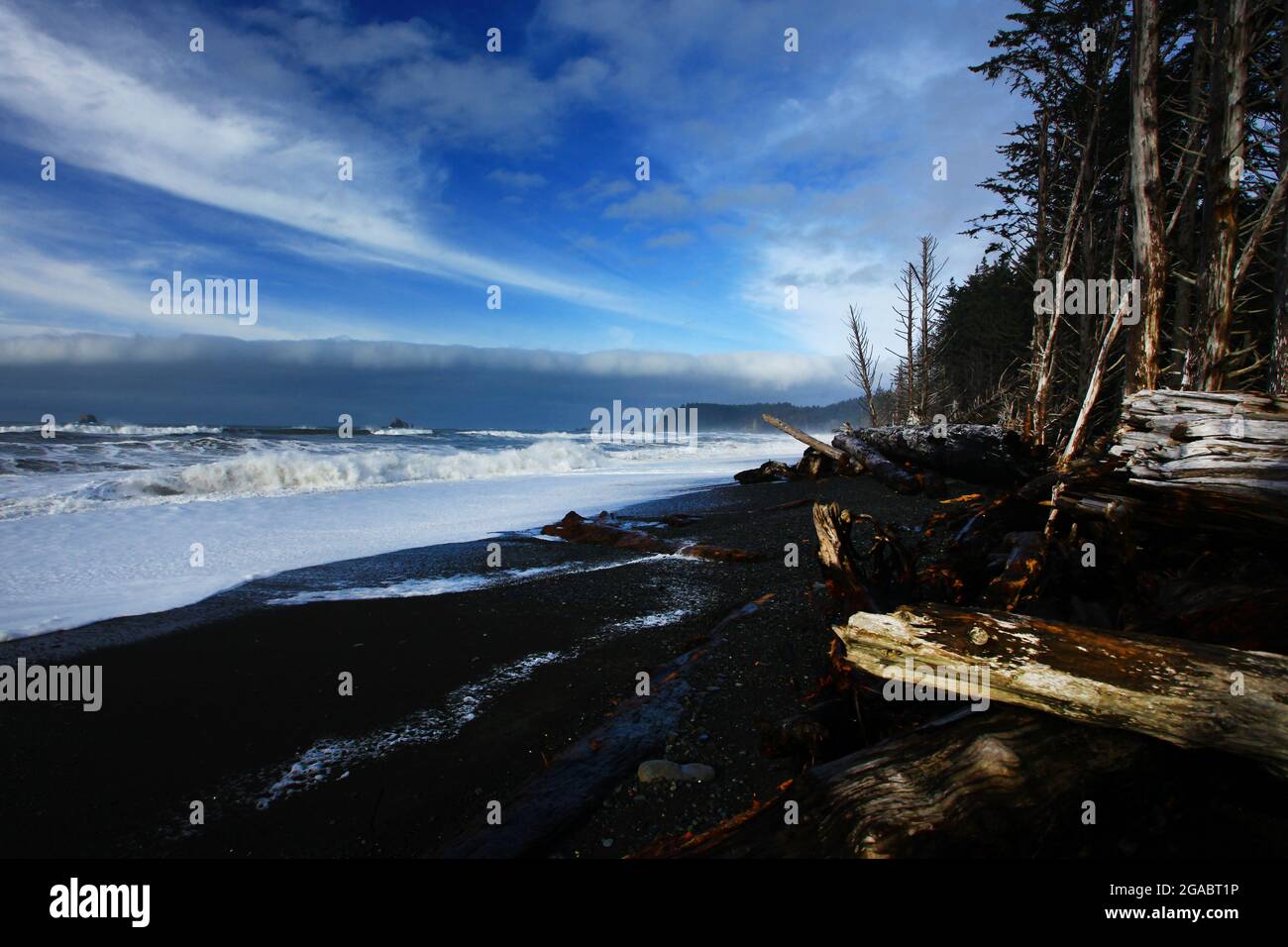a exterior picture of an Pacific Northwest beach with driftwood Stock ...