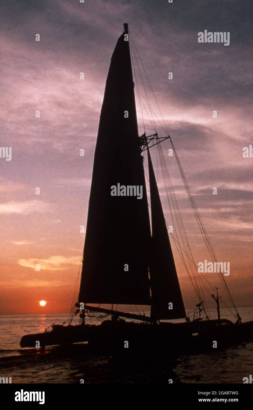 Waterworld Year : 1995 USA Director : Kevin Reynolds Stock Photo - Alamy