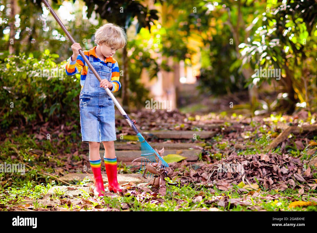 Child raking leaves hi-res stock photography and images - Alamy