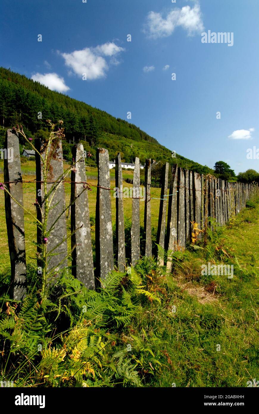 Slate fences in Corris Village, Gwynedd Wales UK Stock Photo - Alamy