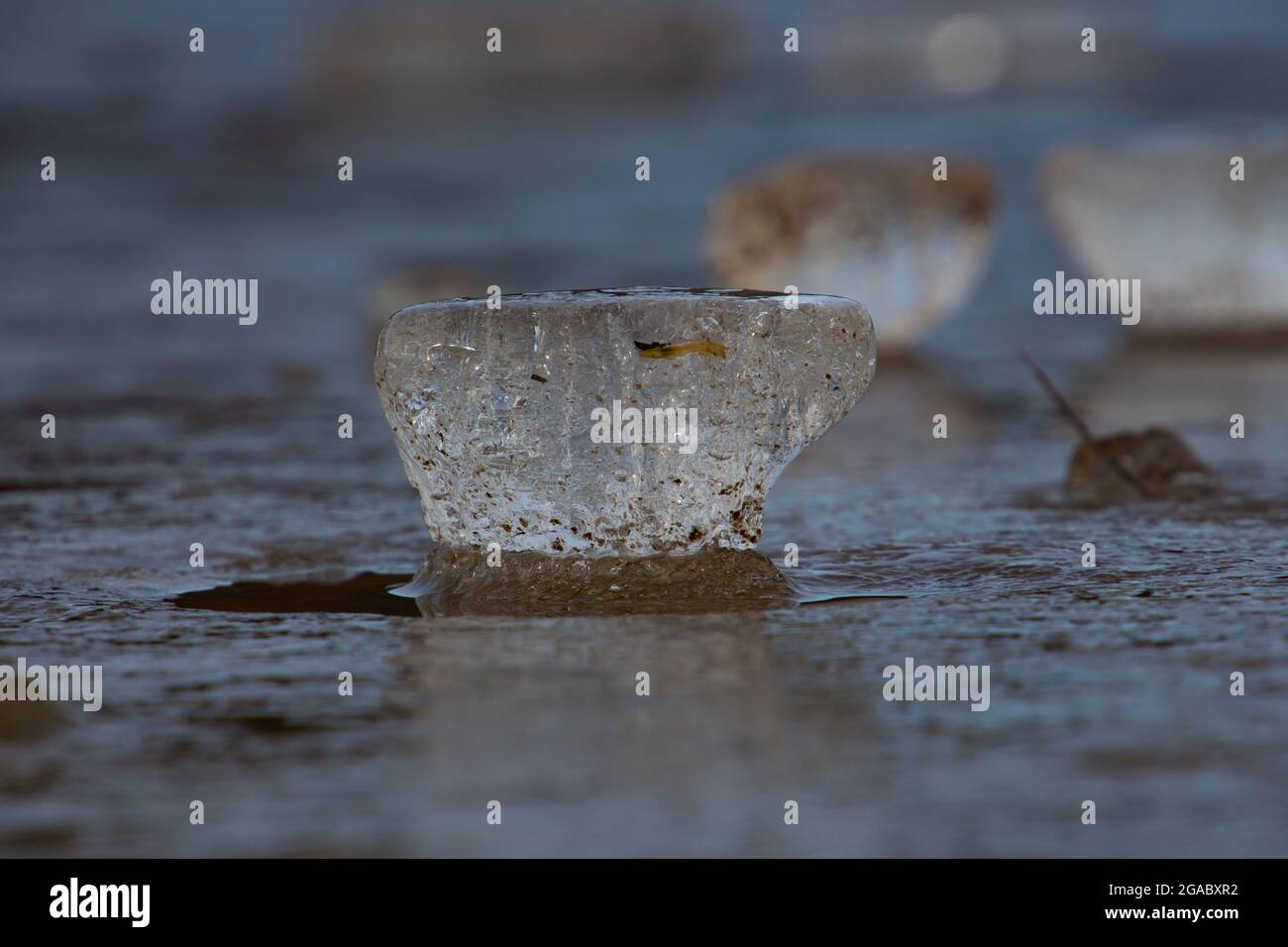 Side view of ice block laying on ice surface, selective focus Stock ...