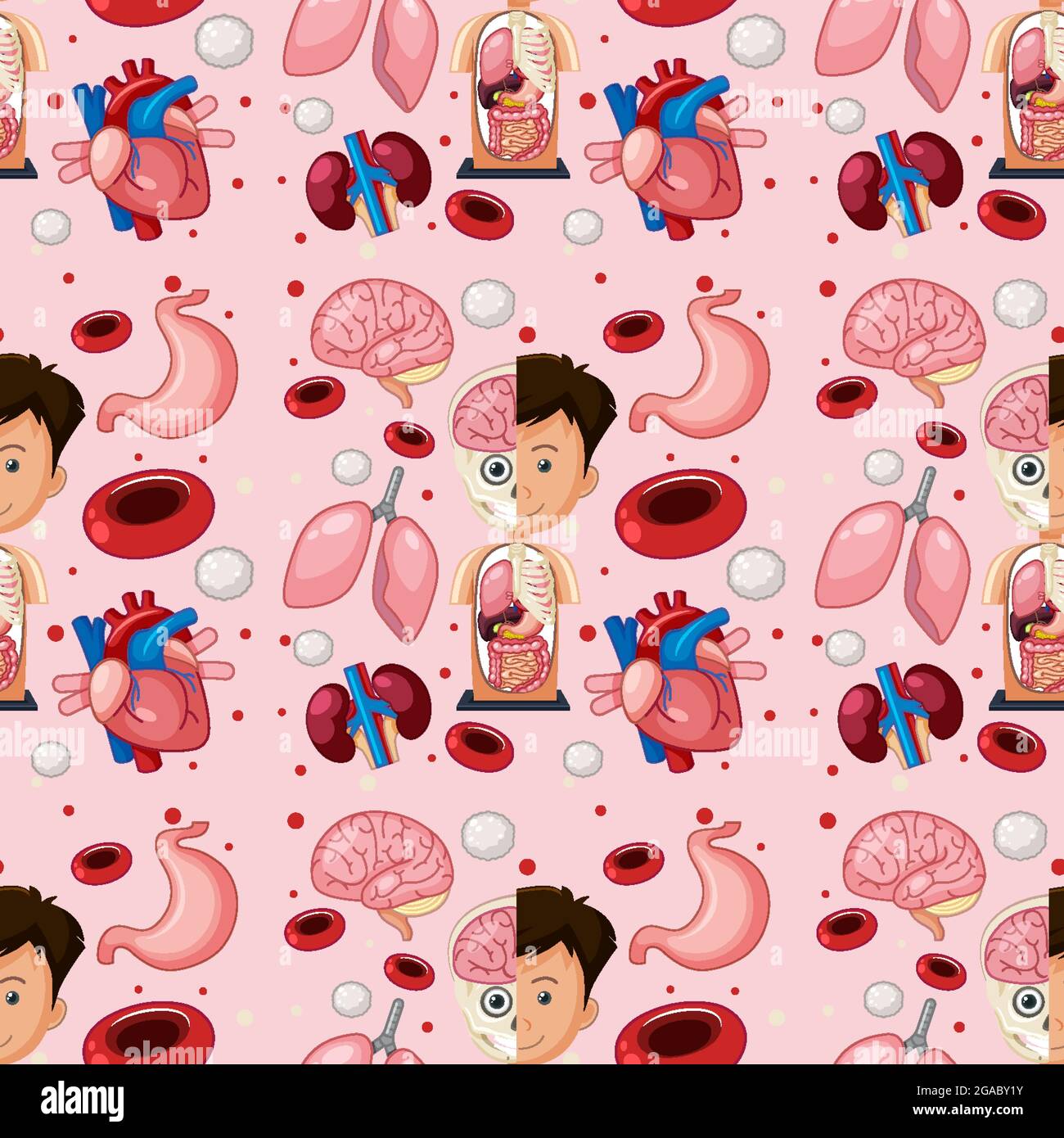 Human body parts anatomy seamless background illustration Stock Vector ...