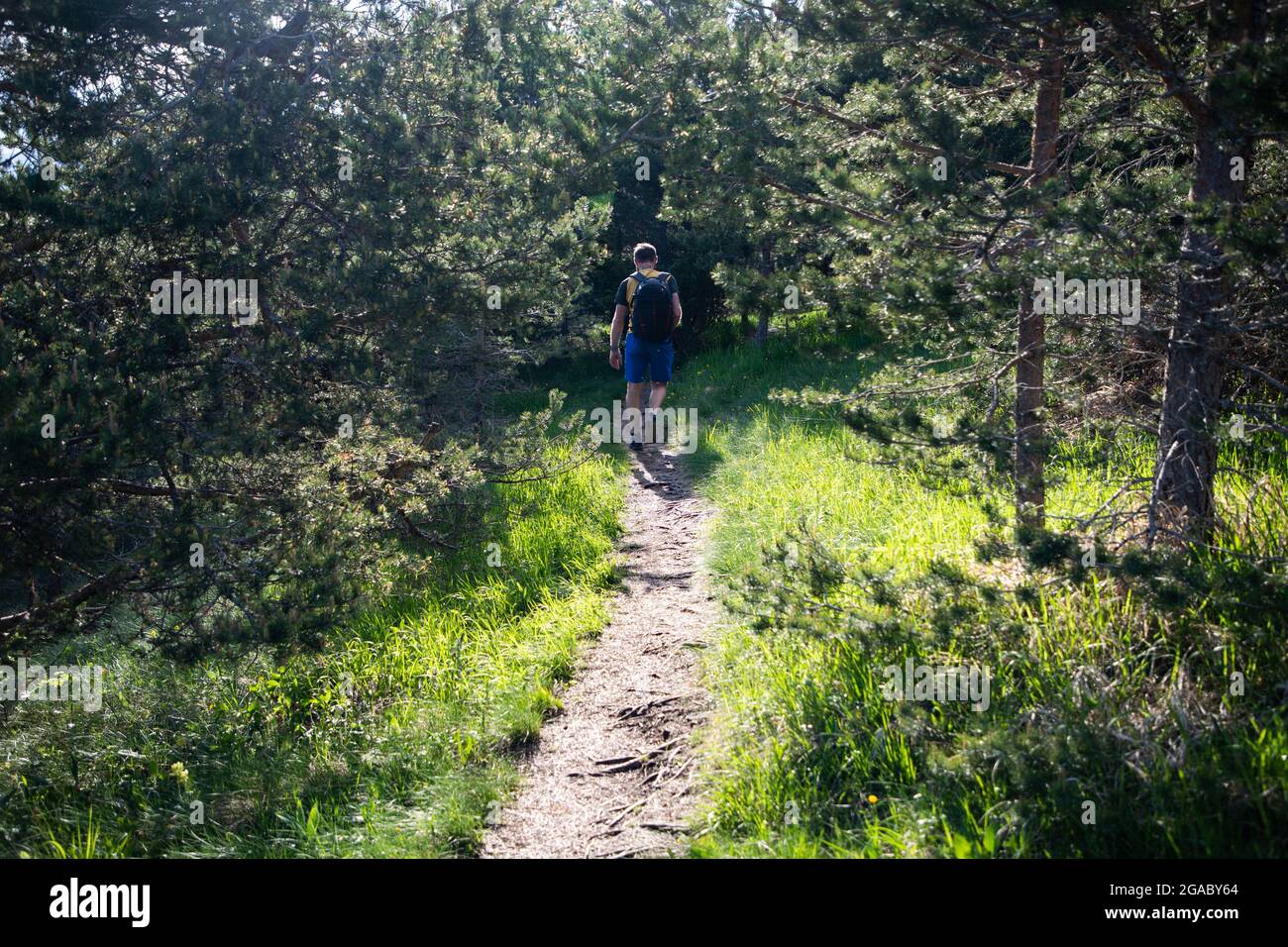 handsome man trekking in nature slow travel Stock Photo - Alamy