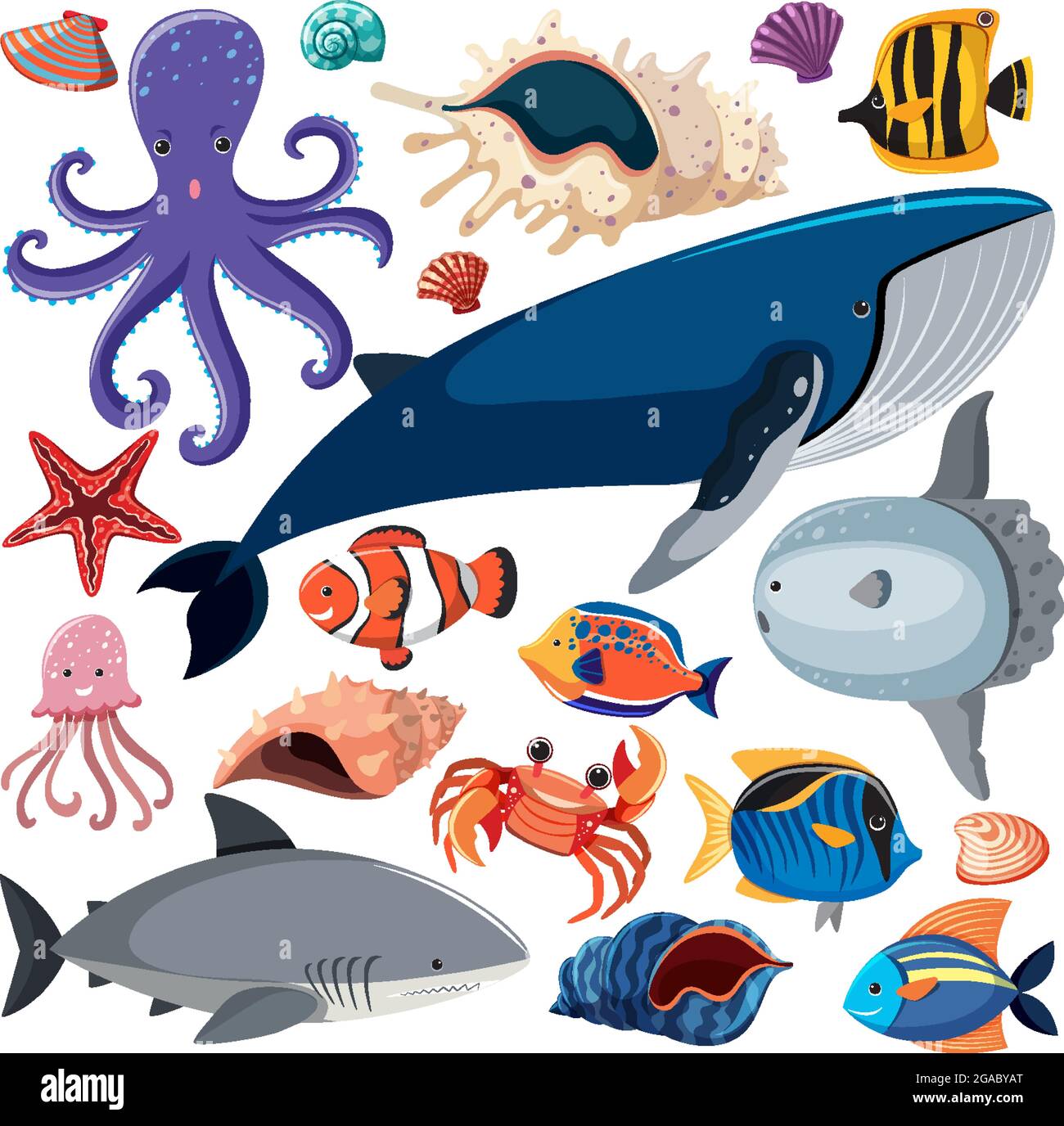 Cartoon Sea Life
