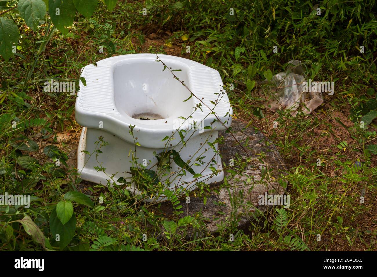 White Ceramic toilet in the woods nature Stock Photo - Alamy