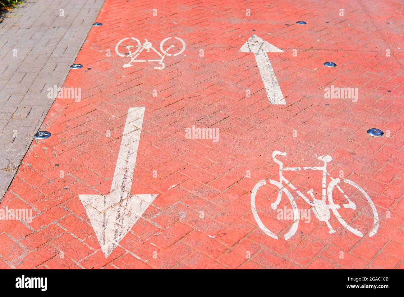 Red bicycle lane with two-way arrows Stock Photo - Alamy