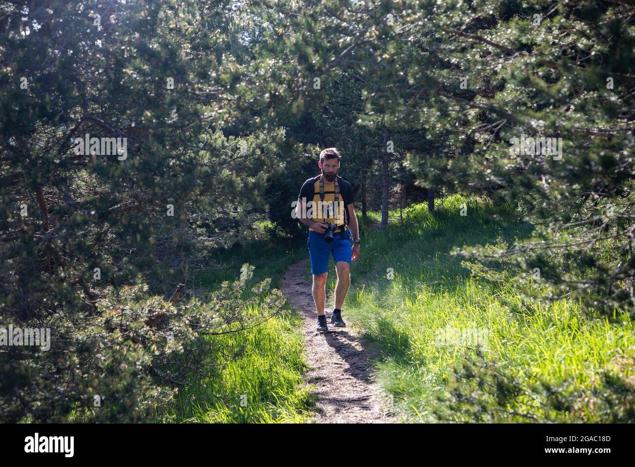 handsome man trekking in nature slow travel Stock Photo - Alamy