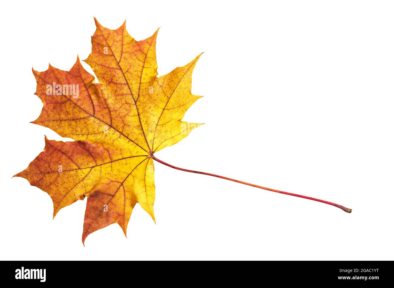 Beautiful autumn view from Cut Out Stock Images & Pictures - Alamy