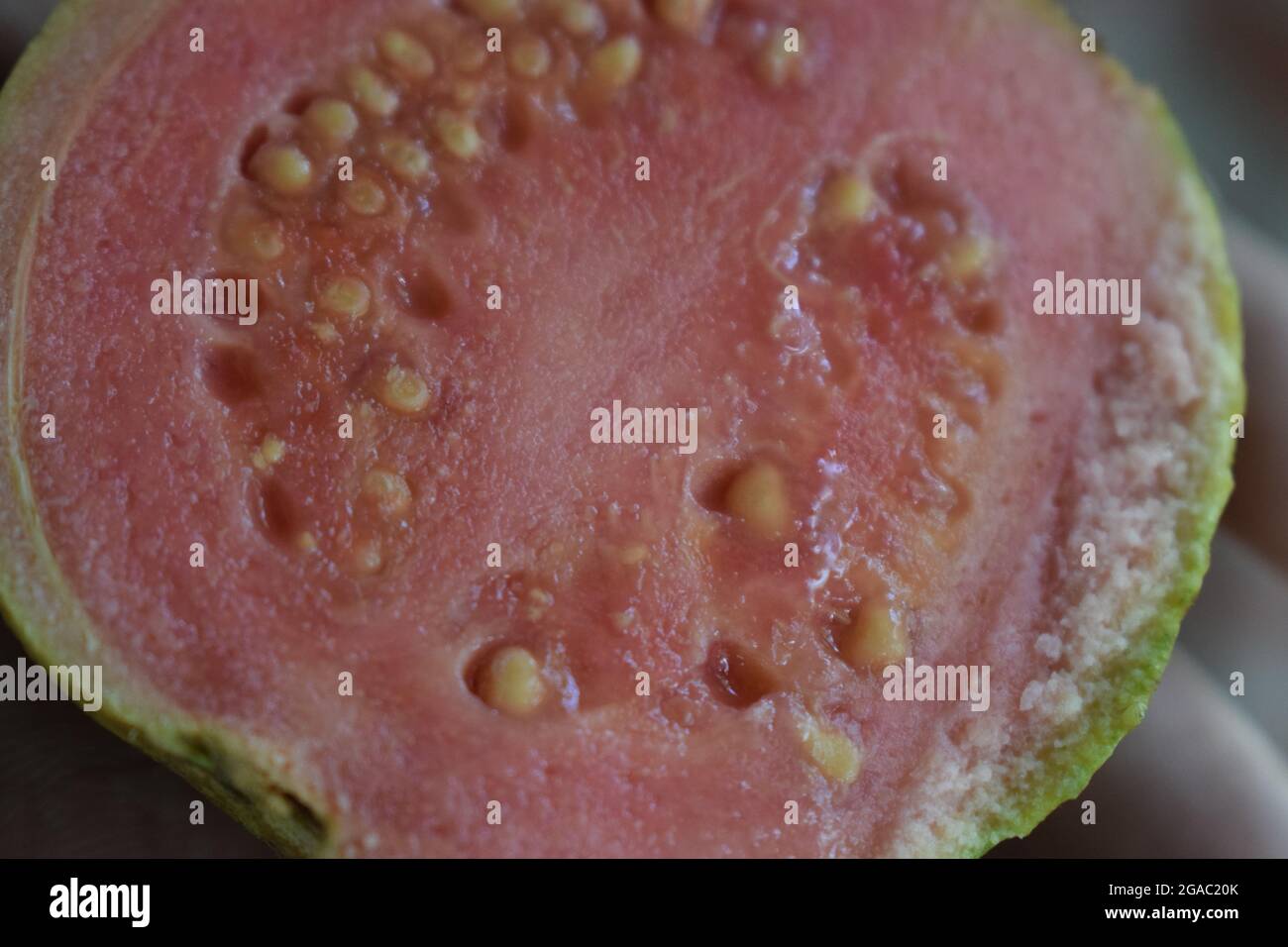 Very closeup view of cut tasty guava fruit with seeds, very tasty honey ...