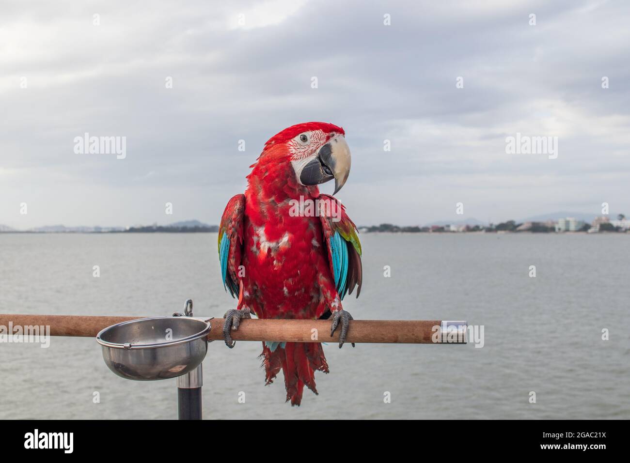 Beautiful eye catcher hi-res stock photography and images - Alamy